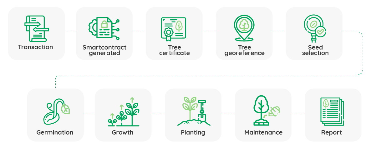 Plant a Tree - PlanT Reforestation